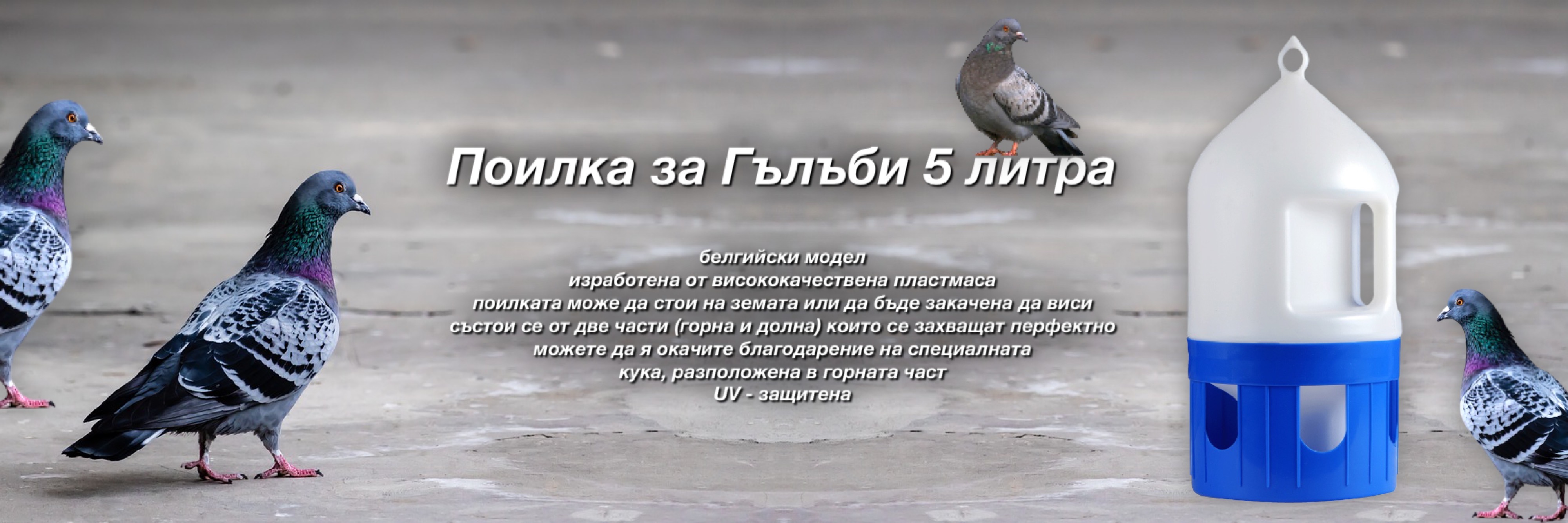 Поилки за Гълъби